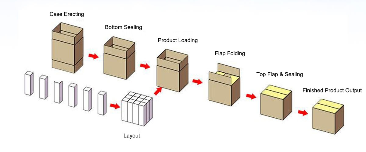 Case Packer Machine for Automatic Shipping Case Packing